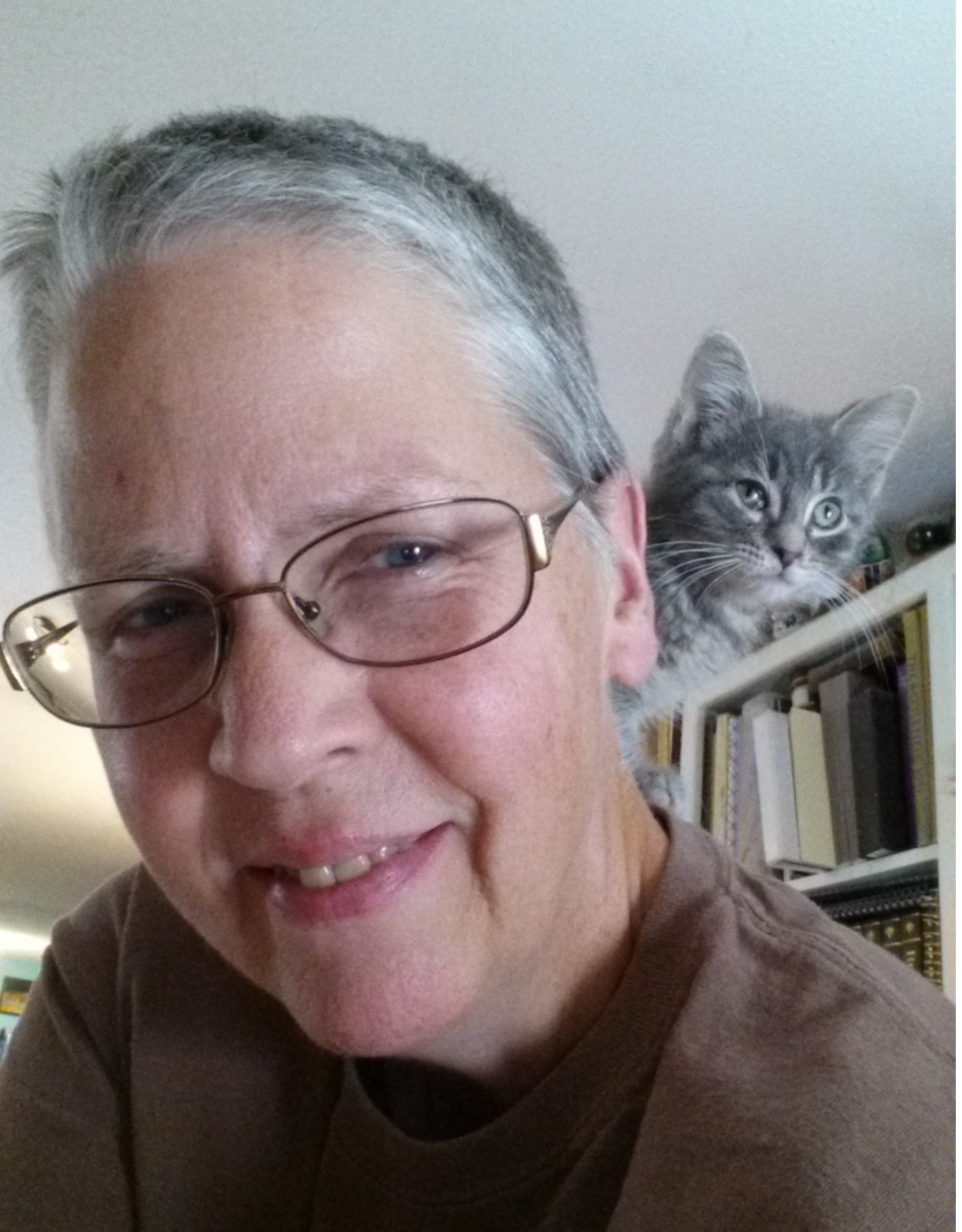 Romance at the Fiber Guild Book Series | Author Virginia Lewis